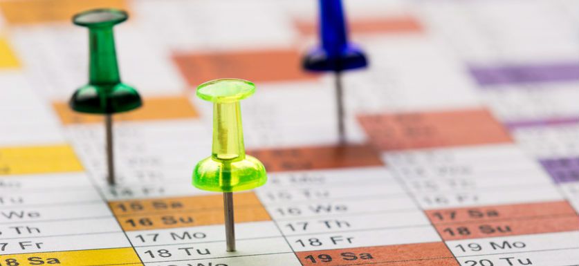 What Is Vesting? | Vested Definition, Examples, & More