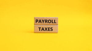 How to Pay Payroll Taxes | Step-by-step Guide for Employers