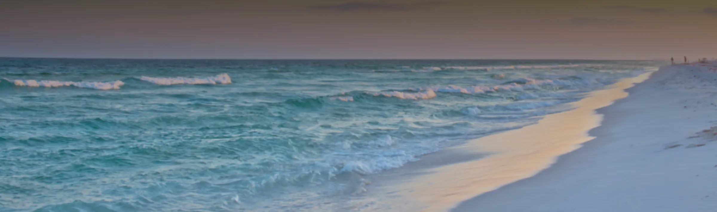 Payroll Services in Florida | Award-winning Payroll Software
